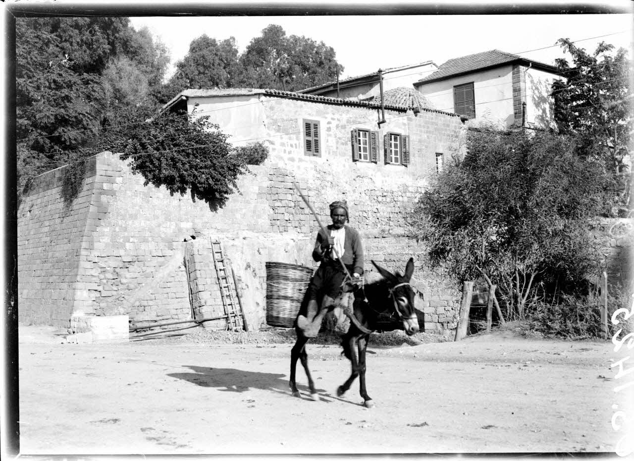 ImagesDéfense - Nicosie. Chypre. Un Chypriote à âne. [légende d'origine]