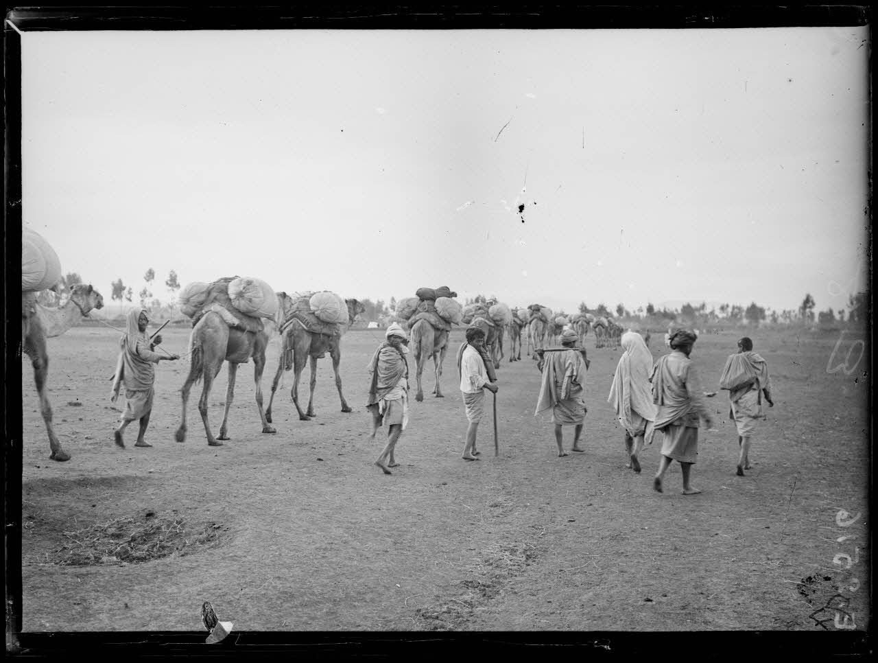 ImagesDéfense - Addis Abéba. Convoi de chameaux transportant des ...