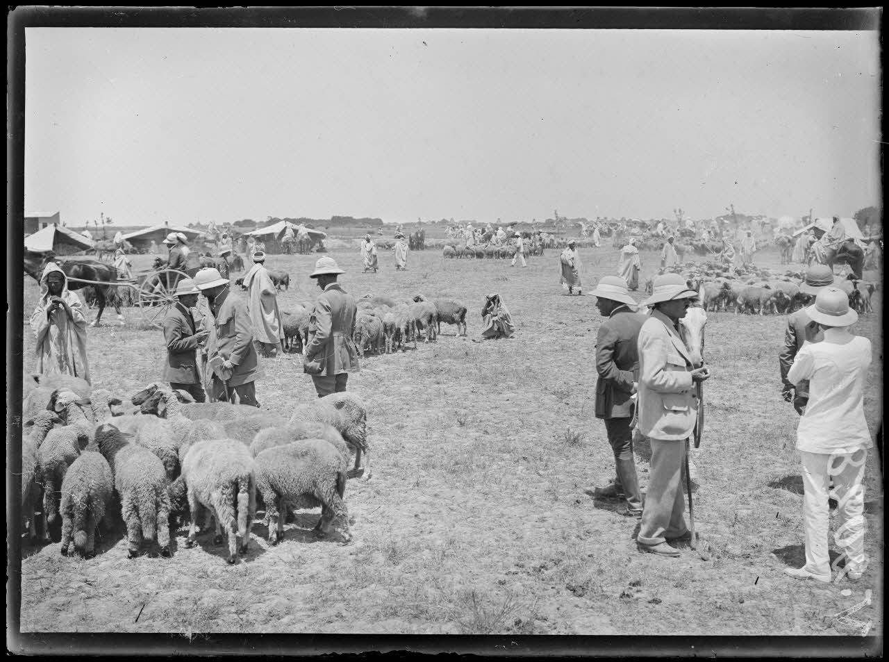 ImagesDéfense - Maroc. Mechra-Bel-Ksiri. Le marché. [légende d'origine]