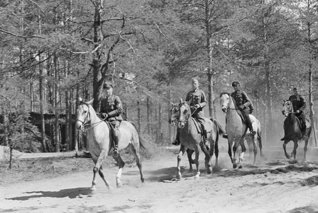 ImagesDéfense - Arrivée sur le lieu d'un défilé du général ...