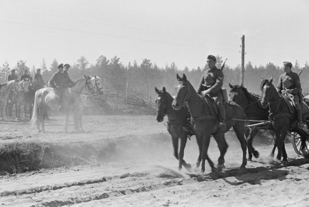 ImagesDéfense - Une charrette hippomobile du 183e régiment d'infanterie ...
