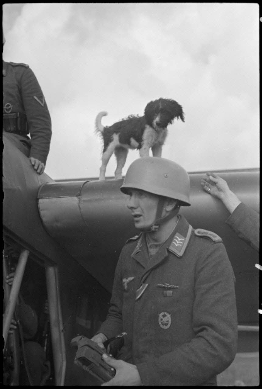 ImagesDéfense - Portrait de l'adjudant (Feldwebel) Günther Naumann ...