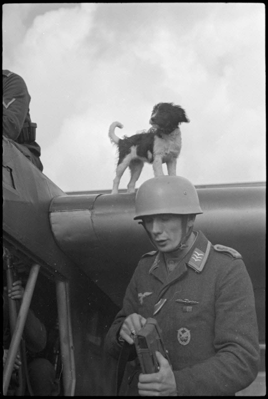 ImagesDéfense - Portrait de l'adjudant (Feldwebel) Günther Naumann ...
