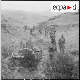 ImagesDéfense - En opération avec la 5e batterie du 2/4e RA ...