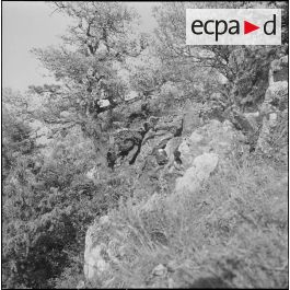 ImagesDéfense - Opération avec le 8e RCC et le 14e BCP. [Description en ...