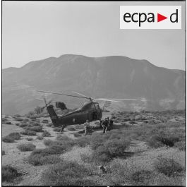 ImagesDéfense - Opération avec le 8e RCC et le 14e BCP. [Description en ...
