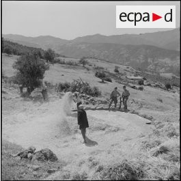 ImagesDéfense - Opération avec le 8e RCC et le 14e BCP. [Description en ...