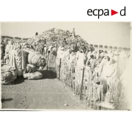 ImagesDéfense - Chemaïa. Juin 1942. Achat de 200 tonnes de laine ...