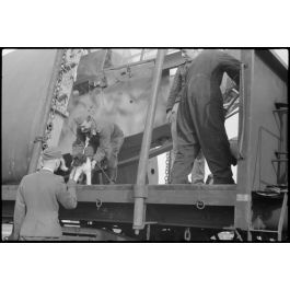 ImagesDéfense - Sur le terrain d'aviation de Gardermoen, la mascotte du ...