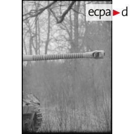 ImagesDéfense - Le tube du canon d'un Nashorn du schwere Panzer ...