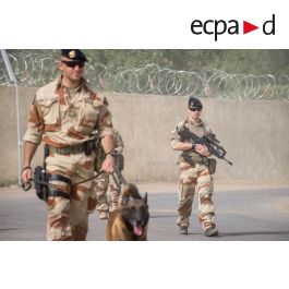 ImagesDéfense - Des fusiliers commandos de l'air patrouillent autour de ...