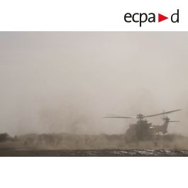 ImagesDéfense - Un hélicoptère Cougar MK2 du 5e régiment d'hélicoptères de combat (5e RHC ...