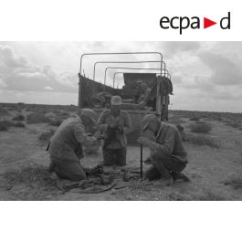 ImagesDéfense - Pendant l'opération "Crusader", la progression d'unités ...