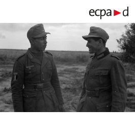 ImagesDéfense - Volontaires de la "Légion Arabe Libre" dans la ...