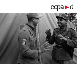 ImagesDéfense - Volontaires de la "Légion Arabe Libre" dans la ...