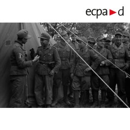 ImagesDéfense - Volontaires de la "Légion Arabe Libre" dans la ...