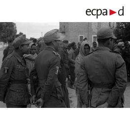 ImagesDéfense - Volontaires de la "Légion Arabe Libre" dans la ...