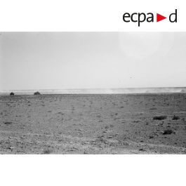 ImagesDéfense - Eléments du Panzer Regiment 8 (Pz.Rgt-8) en formation ...