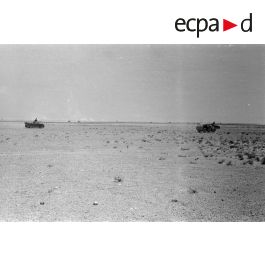 ImagesDéfense - Une colonne de chars Panzer II (Pz-II) du Panzer ...