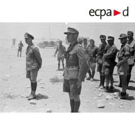 ImagesDéfense - Le Generalleutnant Rommel et un Leutnant du Schützen-Regiment 103 (I-Schtz.Rgt ...