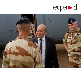 ImagesDéfense - Le colonel Hubert Goupil, adjoint au chef de la brigade ...