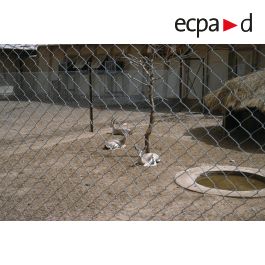 ImagesDéfense - Fort Flatters. Gazelles à la 2e Compagnie saharienne du ...