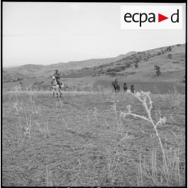 ImagesDéfense - L'escadron monté du 15e GCN patrouille.