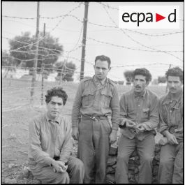 ImagesDéfense - Prisonniers algériens dans un camp de détention en Algérie.
