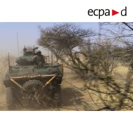 ImagesDéfense - Un véhicule blindé de combat d'infanterie (VBCI) se ...