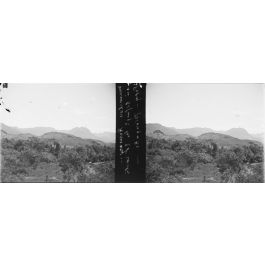 ImagesDéfense - 324. Les deux routes de la forêt dans l'Andrangita ...