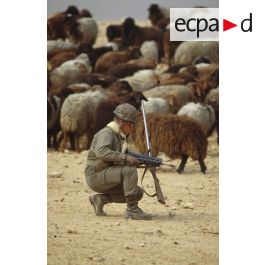 ImagesDéfense - Un marsouin du 2e RIMa (régiment d'infanterie de marine ...