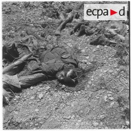 ImagesDéfense - Cadavres du charnier de Dar el Chioukh.