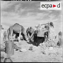 ImagesDéfense - Un puits à El hadjira.