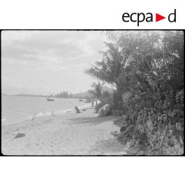 ImagesDéfense - [Opération Gaur en Indochine, janvier-mars 1946. La ...