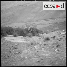 ImagesDéfense - Opération dans le sud de Tenes. Fouille du terrain.