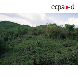 ImagesDéfense - Champ miné dans la région de Sisophon au Cambodge.