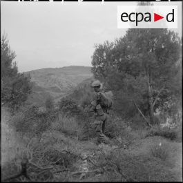 ImagesDéfense - Progression du commando de chasse du secteur de Médéa ...