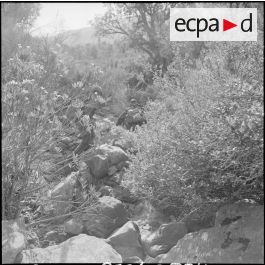 ImagesDéfense - Opération avec le 3e régiment de parachutistes d ...