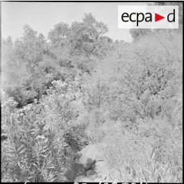 ImagesDéfense - Opération avec le 3e régiment de parachutistes d ...