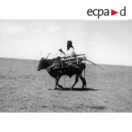 ImagesDéfense - République du Mali, dans le Tilemsi (nord de Gao), 1955 ...