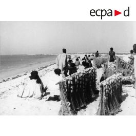 ImagesDéfense - République islamique de Mauritanie, Cap Timiris, 1959 ...