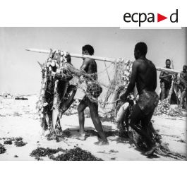 ImagesDéfense - République islamique de Mauritanie, Cap Timiris, 1960 ...