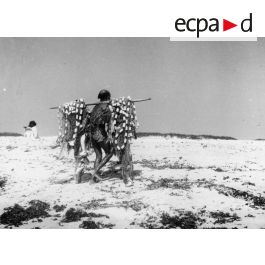 ImagesDéfense - République islamique de Mauritanie, Cap Timiris, 1960 ...
