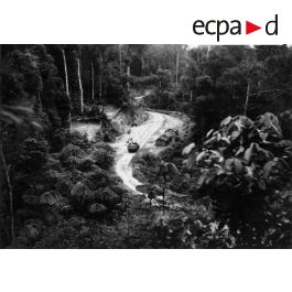 ImagesDéfense - République Gabonaise, 1943. Route de forêt de Lébamba à ...