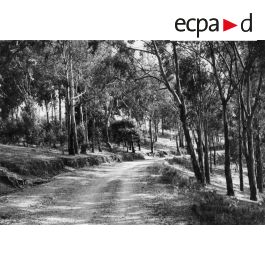 ImagesDéfense - République rwandaise, 1970. Route.