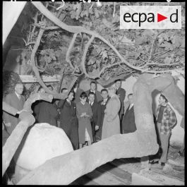 ImagesDéfense - Alger. Visite du cimetière des princesses.