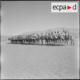 ImagesDéfense - La 1re compagnie saharienne d'infanterie (CSI) de Béni ...