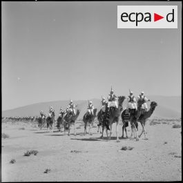 ImagesDéfense - Défilé de la compagnie saharienne.