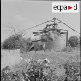 ImagesDéfense - Noria", puits à chaîne à godets actionnée par un âne ...