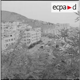 ImagesDéfense - Alger. Climat de France. Un groupe de manifestants avec ...
